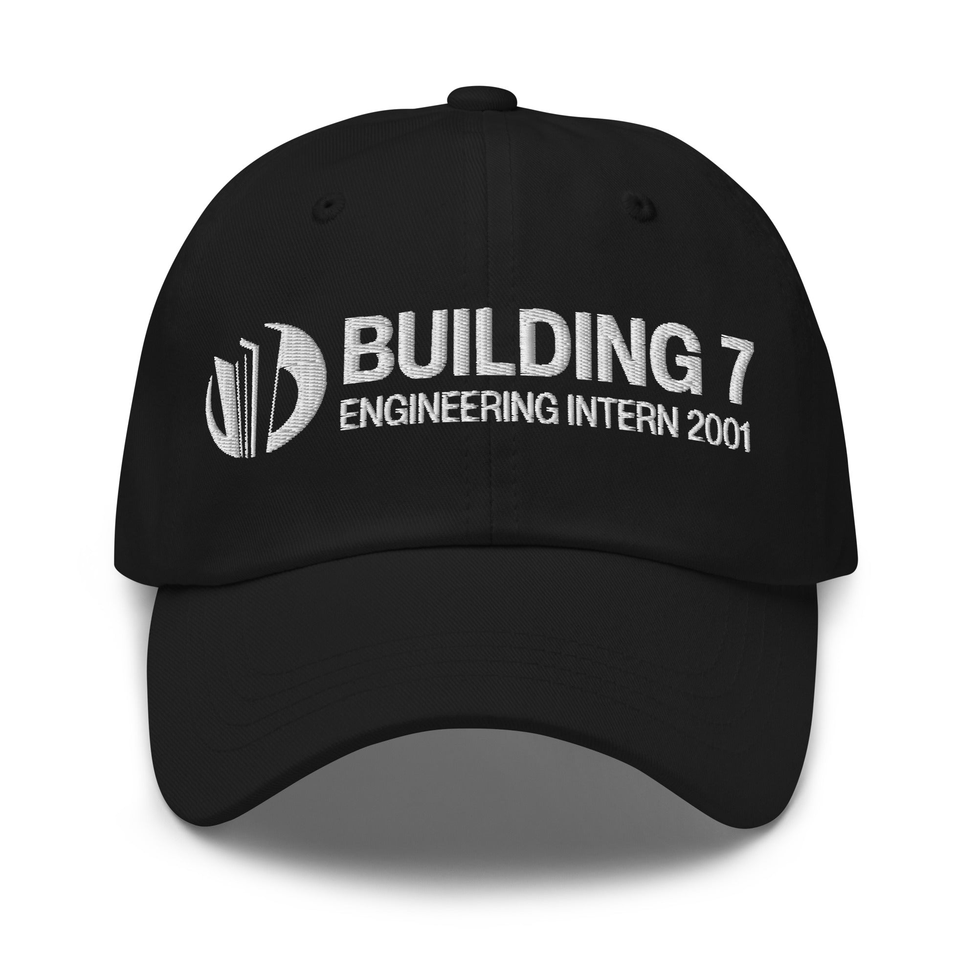 "ENGINEERING INTERN" CAP – NANOPLASTICS*